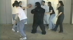 Don’t Miss the Gorilla – Zion Reformed Church